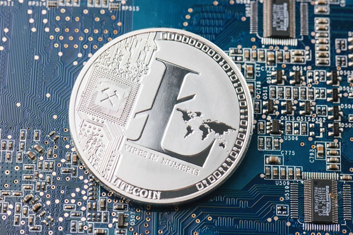 Best Litecoin Wallet - Stock Maven