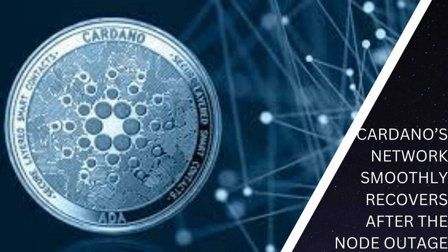 Cardano Network Proves Resilient; Investors Happy - Stock Maven